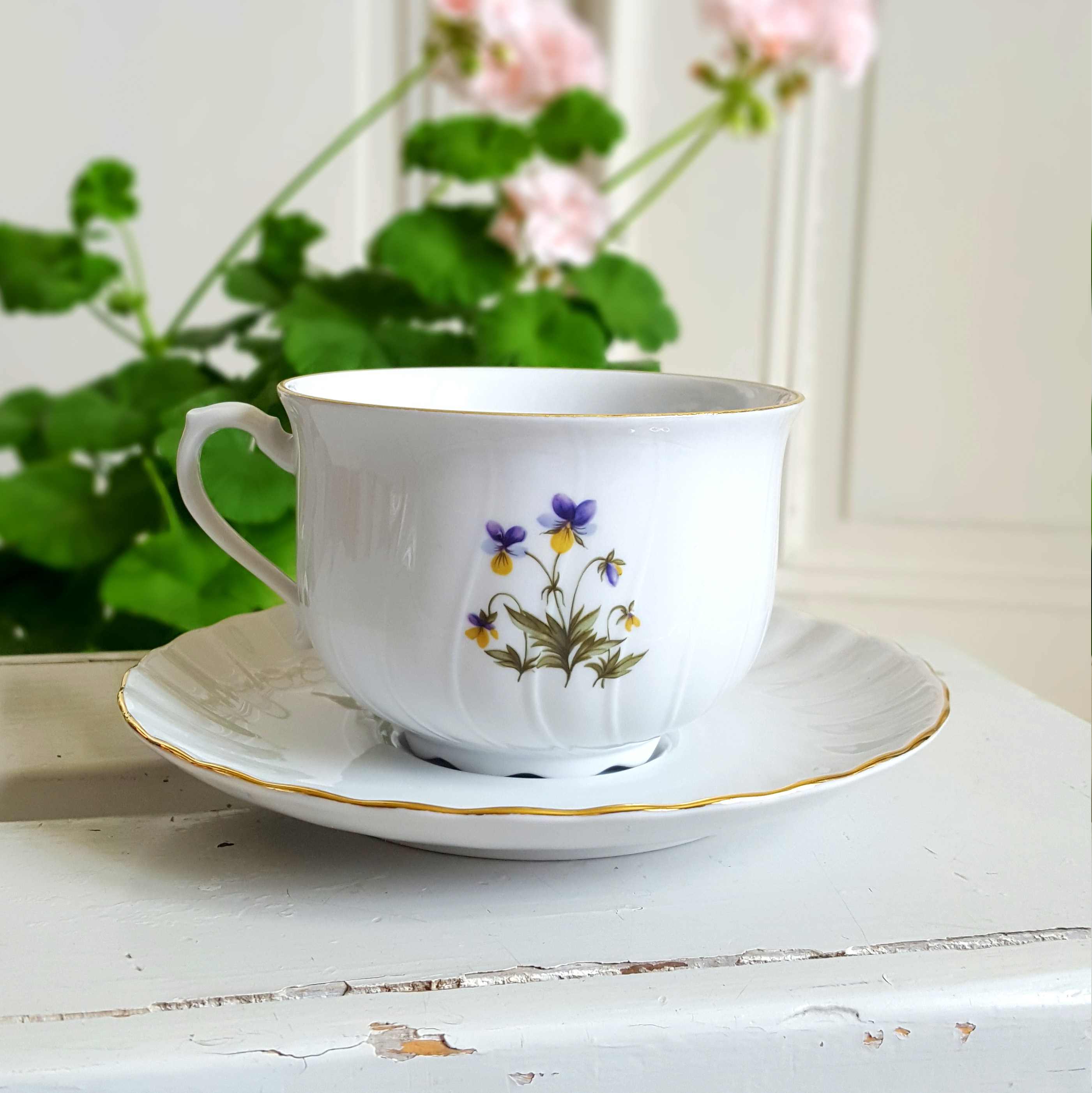 Tekopp - Regina - Styvmorsviol Ångermanland - Seltmann Weiden Bavaria ...